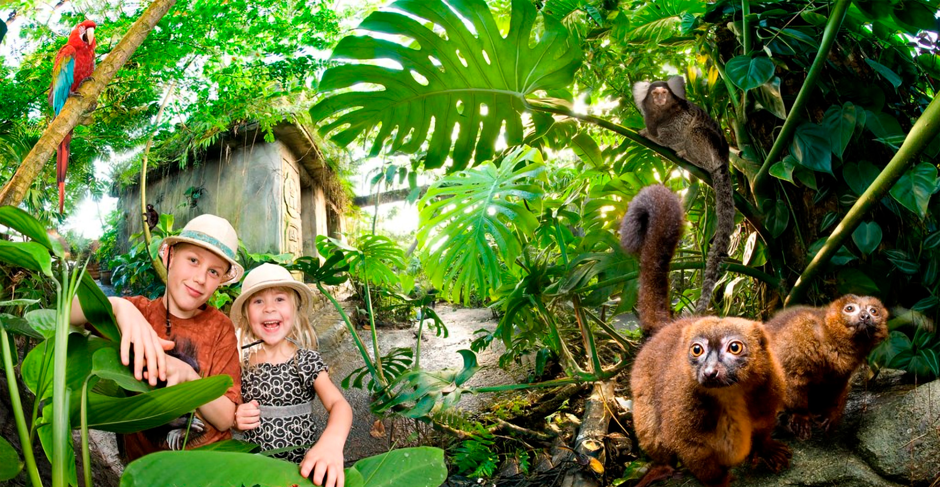 Randers Regnskov - Tropical Zoo in Randers